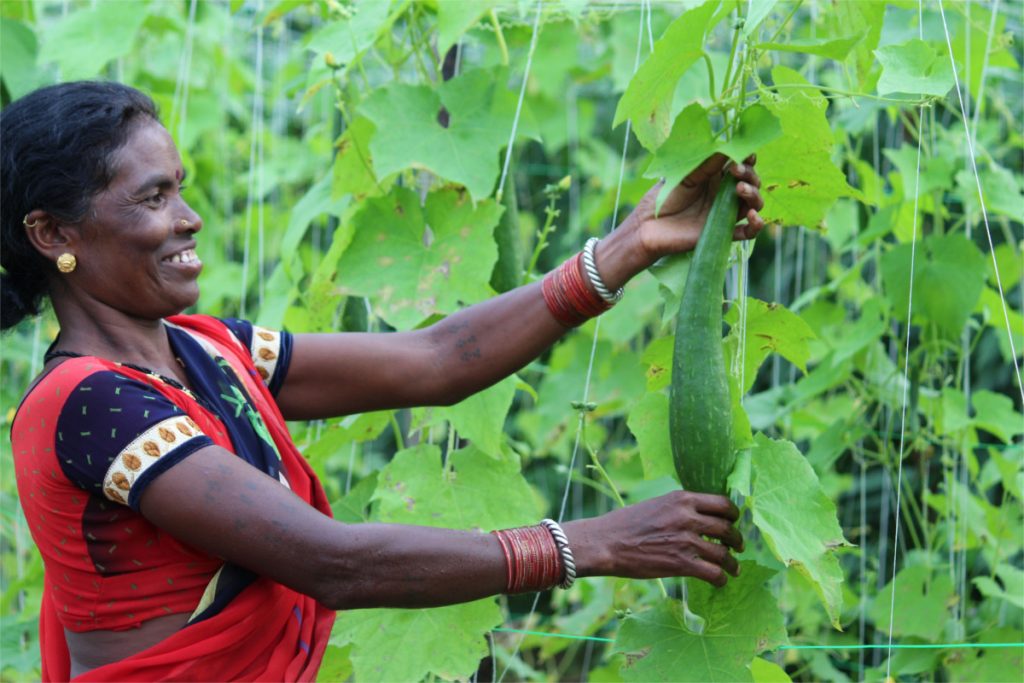 Support Doubling Farmers’ Income by Skilling Rural Women on New ...