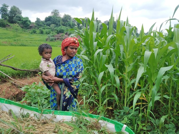 Zooming Into The Main Cropping Patterns In India Sampark Net The 