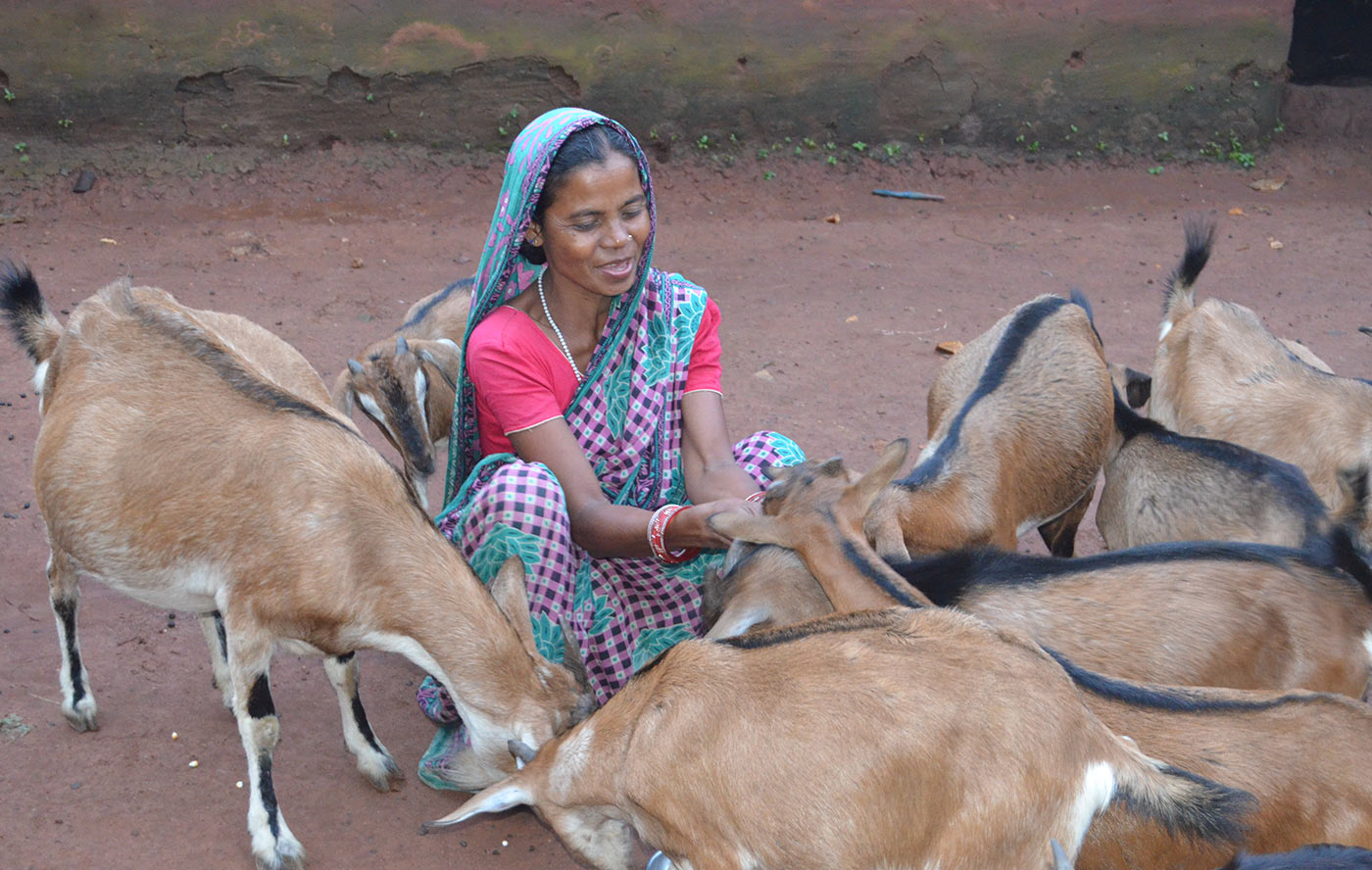 Tulashi’s Tale: from Iron Mine to Mining a Miracle | Pradan