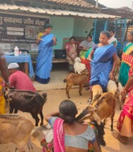 Proud-Persistent-Passionate-Pioneer: Premlata -Saroj Kumar and ...